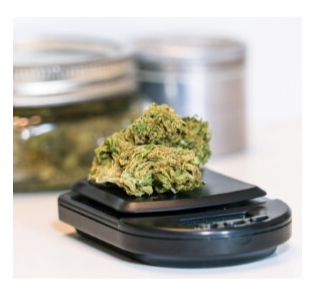 Weed Scales | Order Cannabis Scales Online - Scales Galore